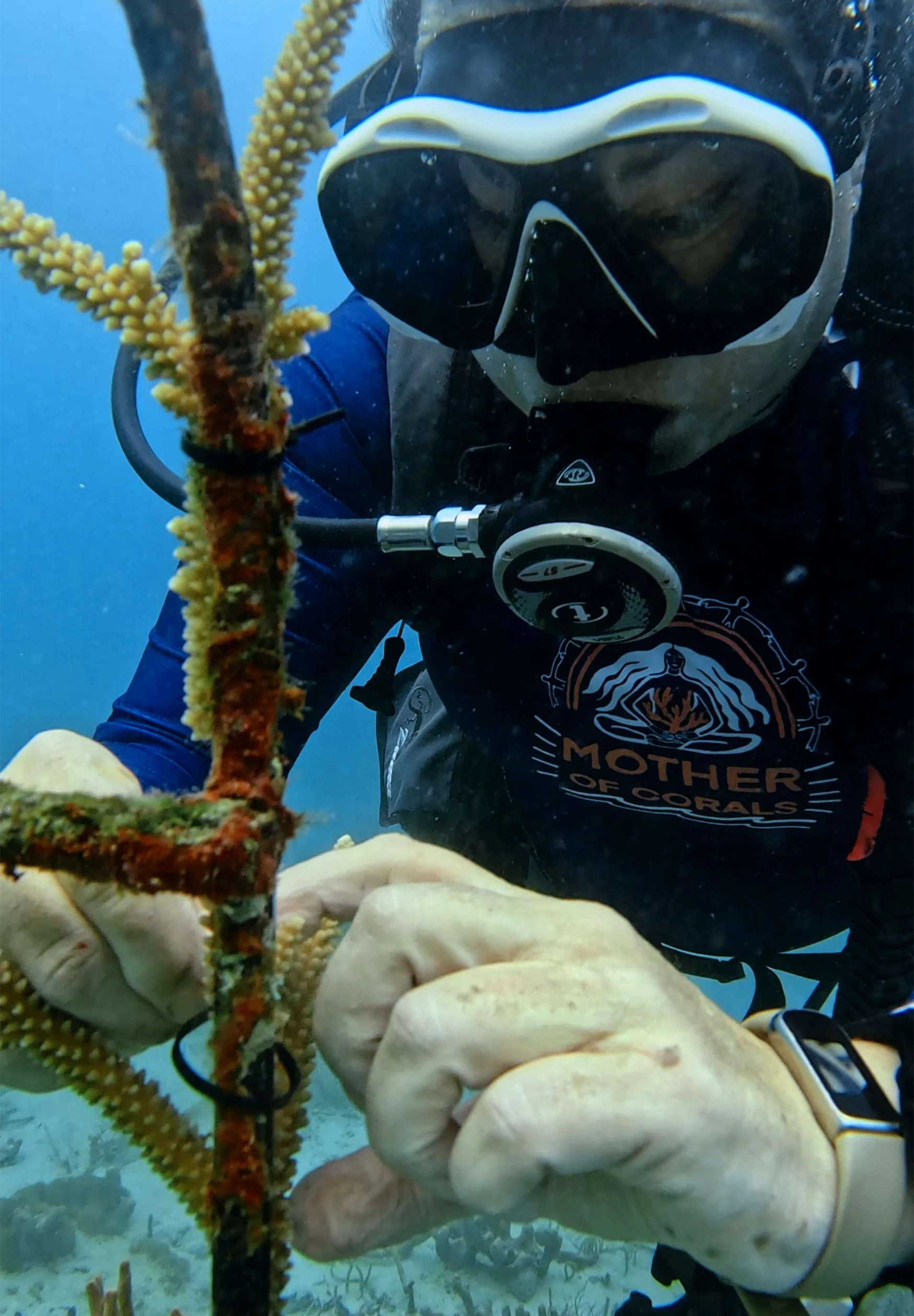 Case Study / Mother of Corals - OCEANR