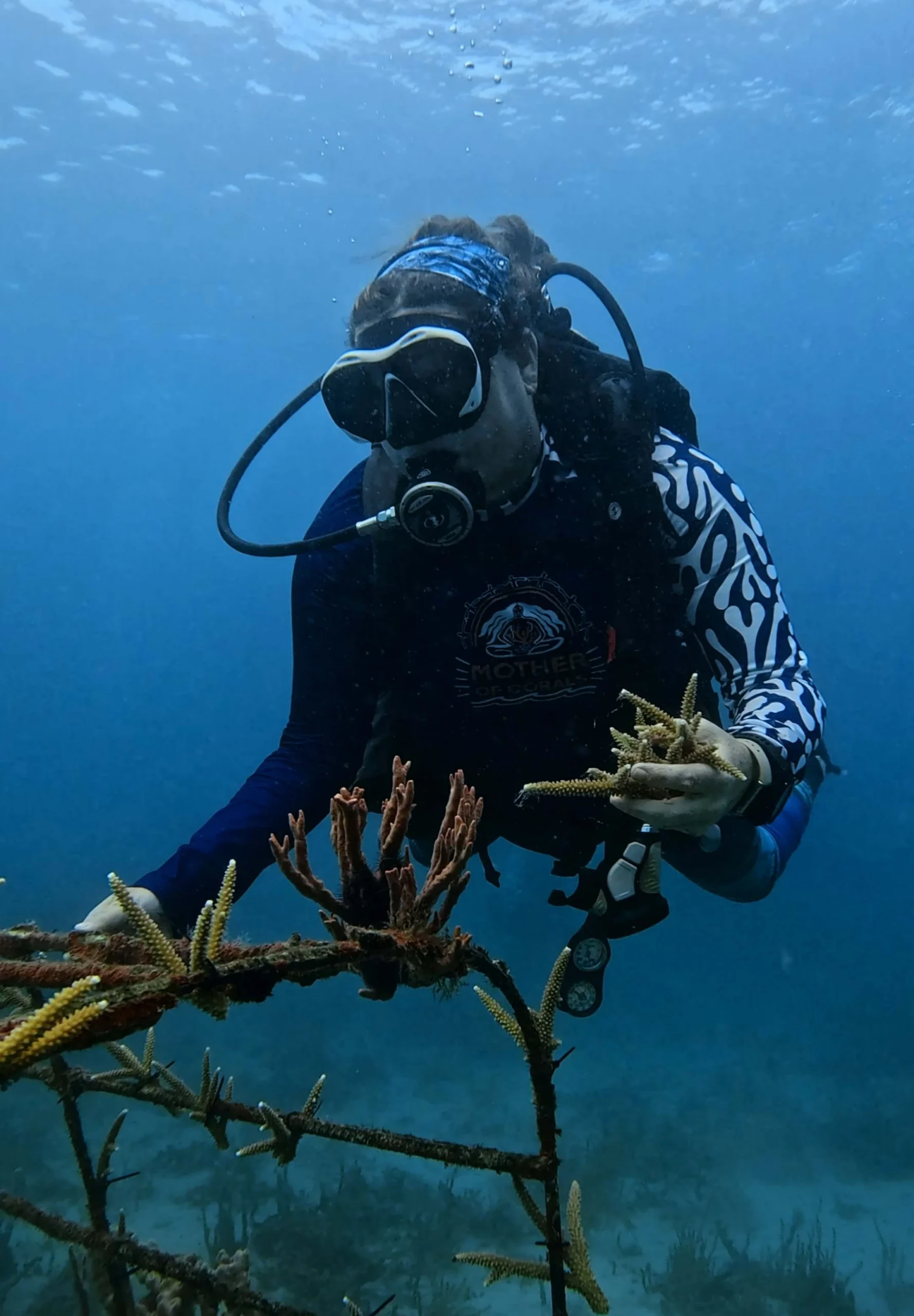 Case Study / Mother of Corals - OCEANR